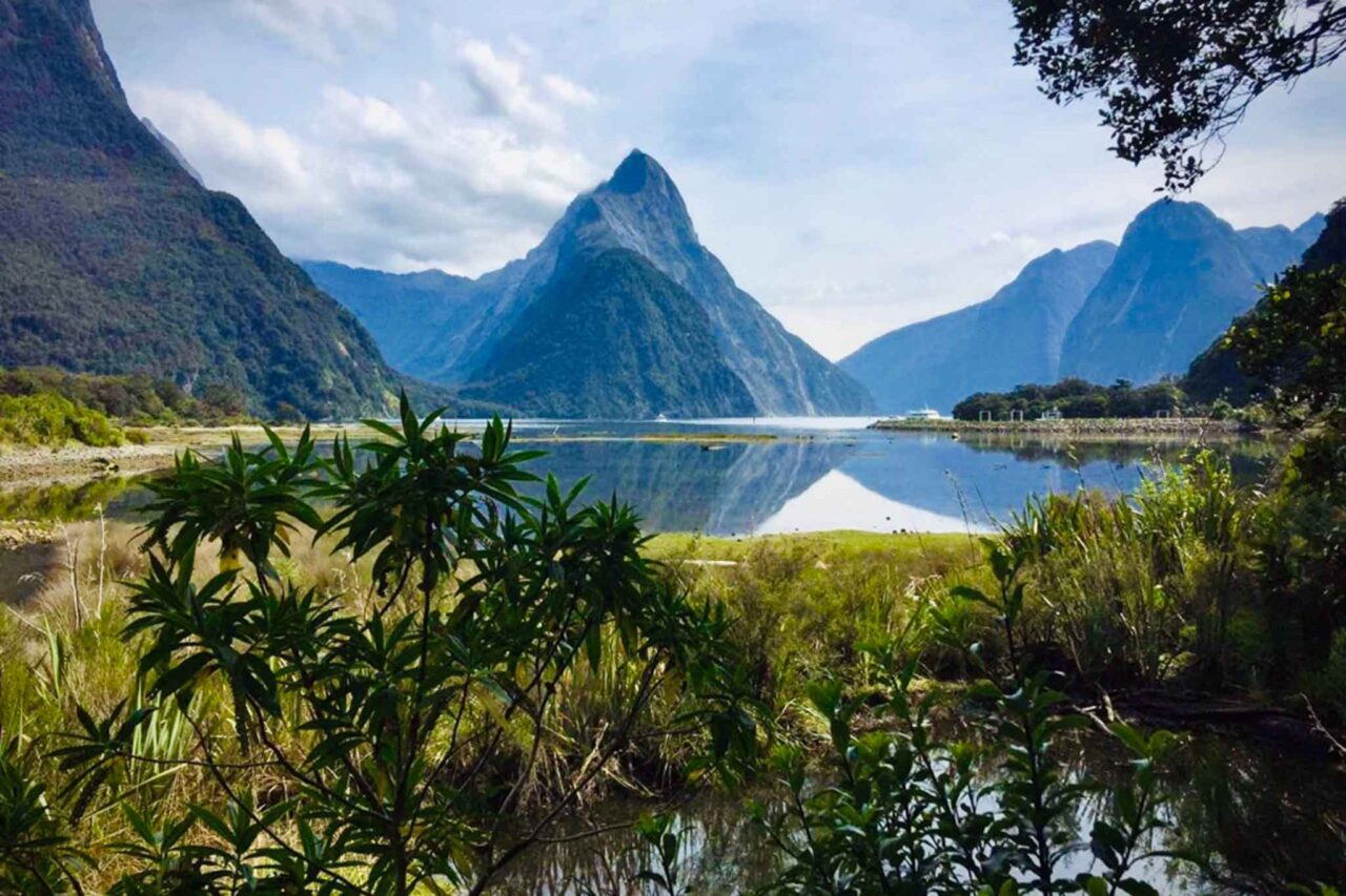 Milford Sound | Wildly Romantic Weddings & Elopements